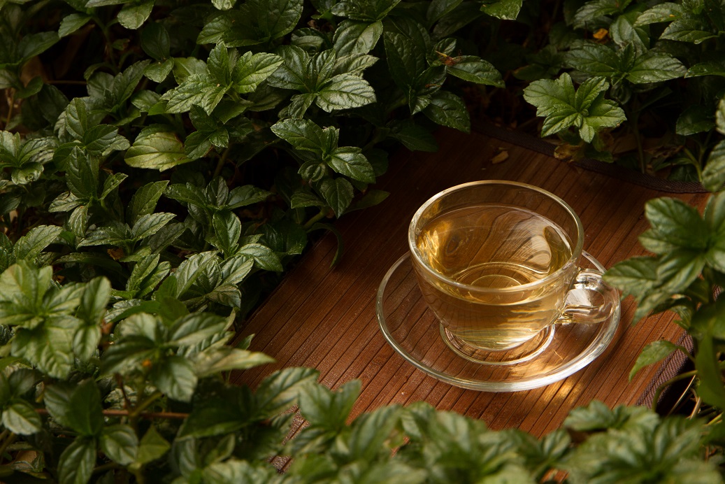 4 Best Teas for Monsoon - The Hillcart Tales Blog